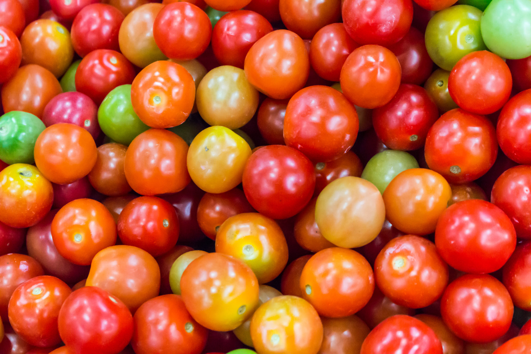 Burst Cherry Tomato Pasta | eatdrinkpretty